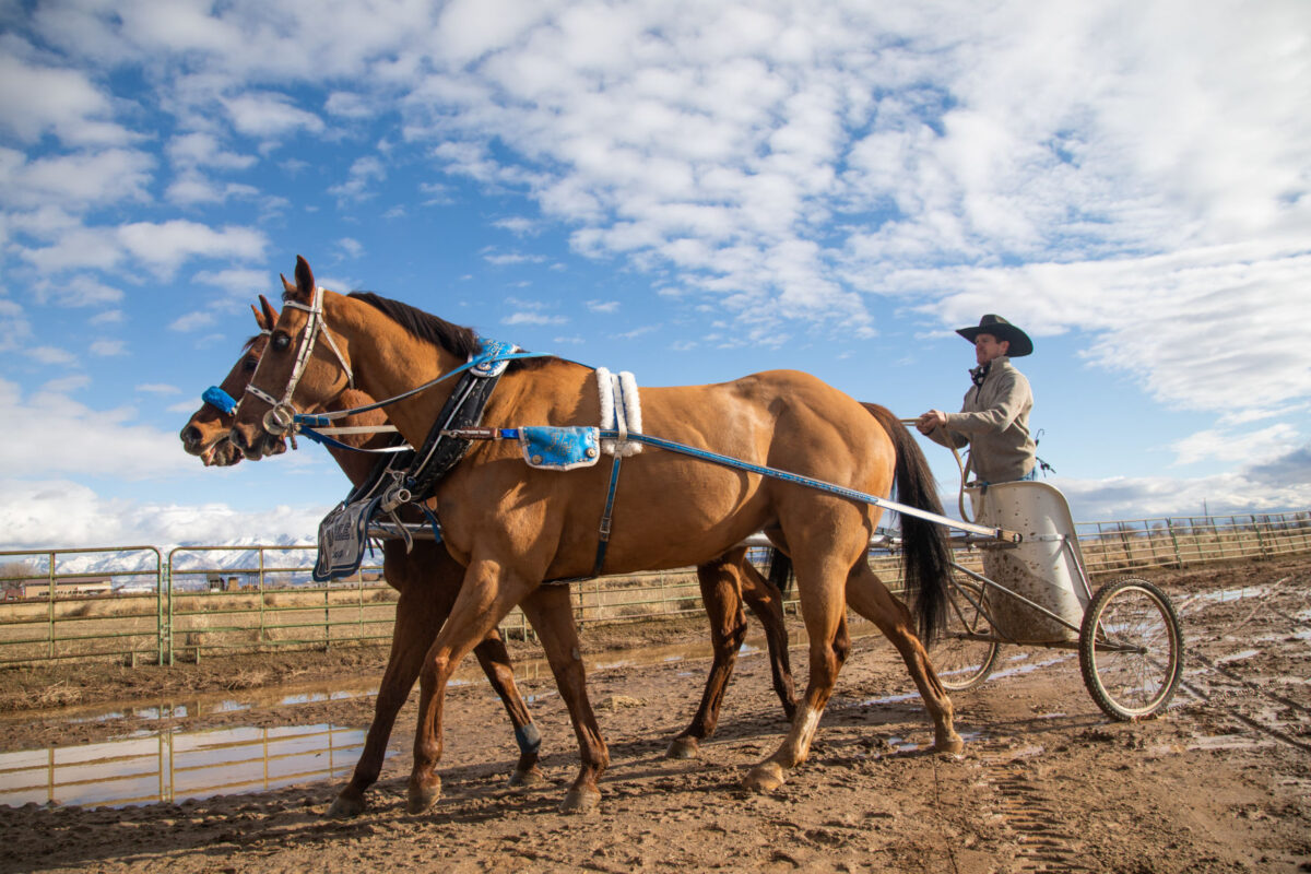 West Warren’s Jordan Hadley carries on family tradition — love of ...